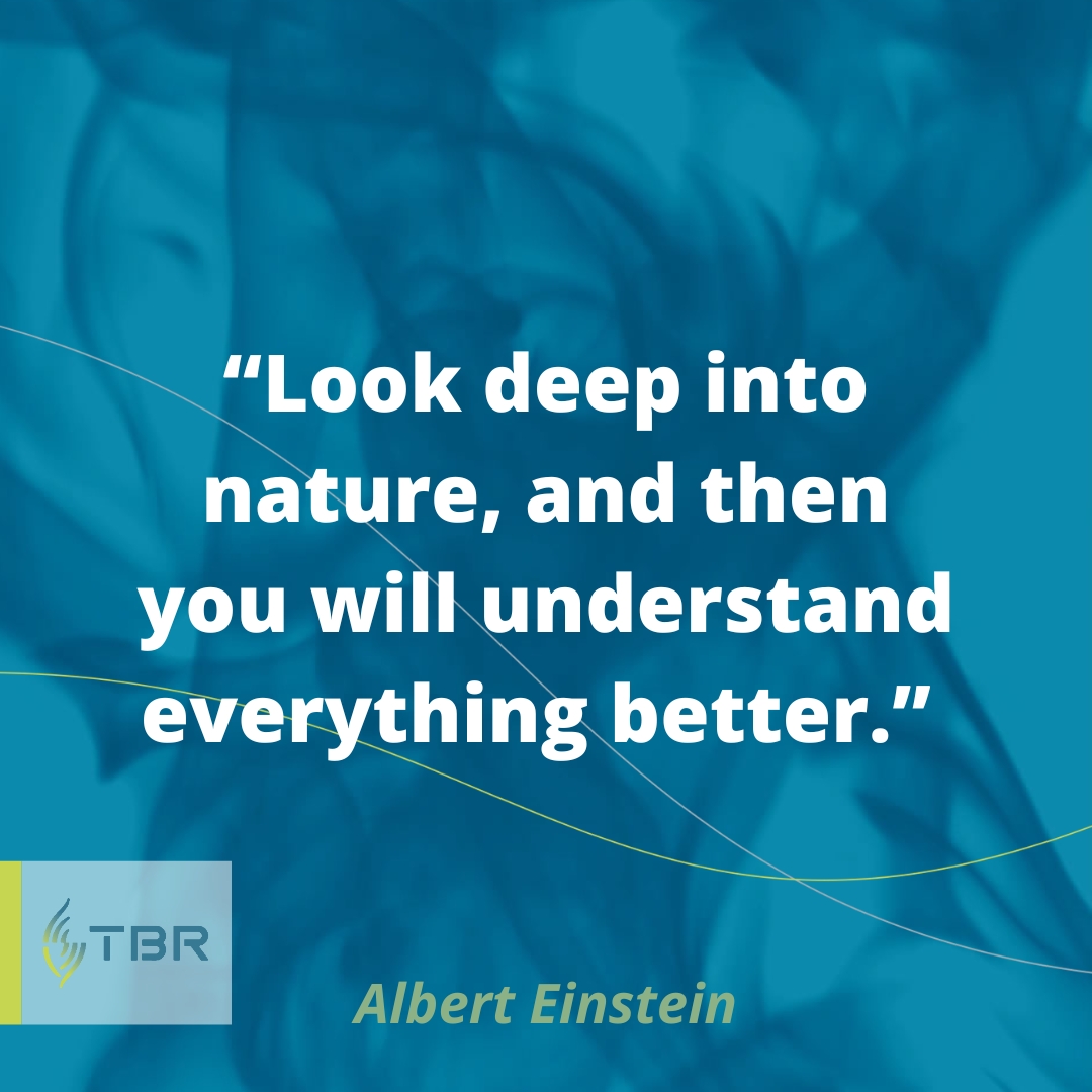 Why would you want to be climate positive? - TBR Solutions